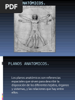 Términos de Lateralidad en Anatomía | PDF | Términos anatómicos de ...