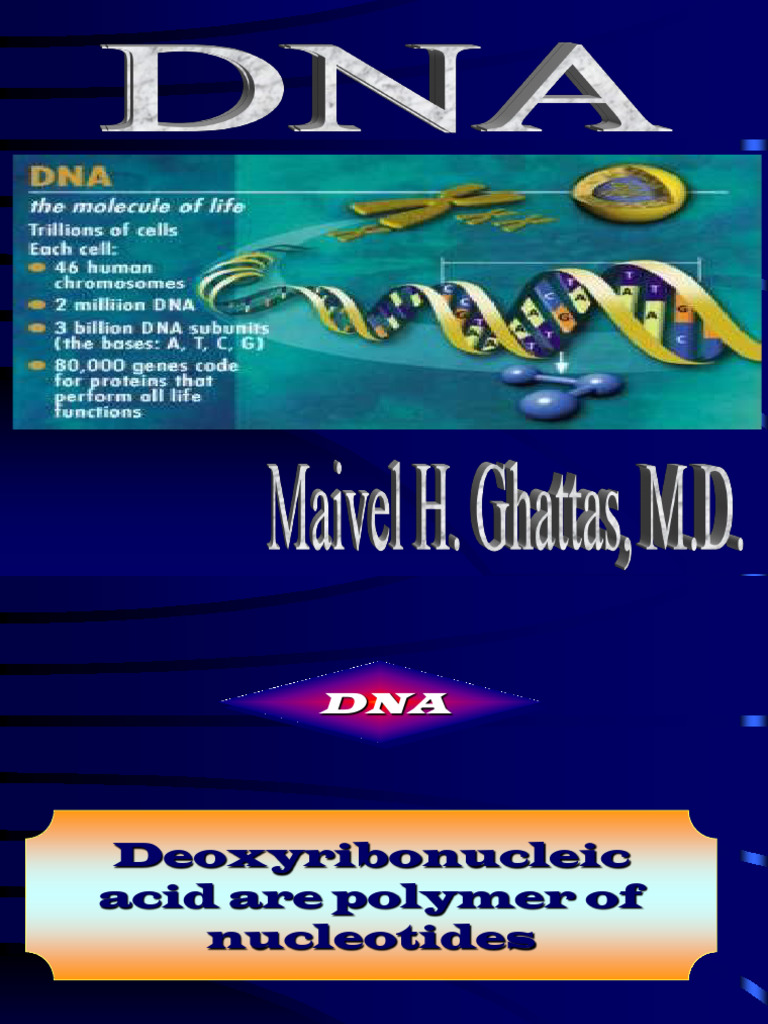 Dna | PDF | Dna | Nucleotides