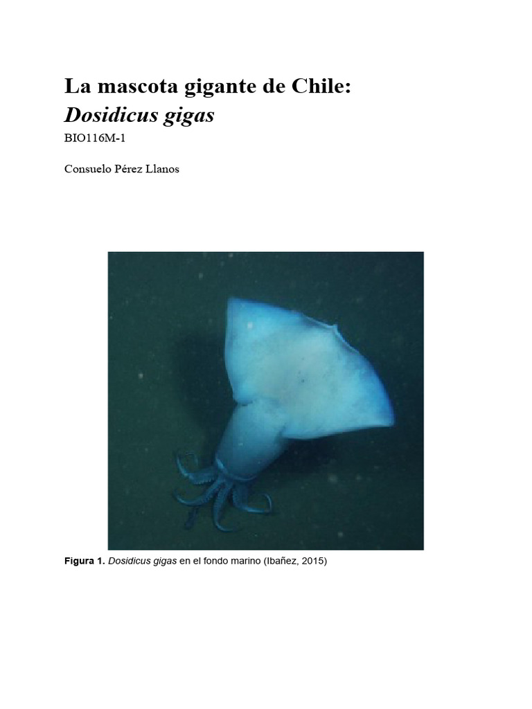 Ecología Dosidicus Gigas | PDF | Hogar, jardinería y bricolaje