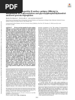 Neuron Poems | PDF | Neuron | Action Potential