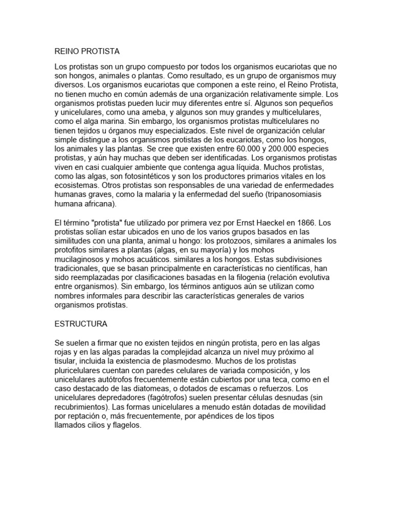 Características Generales de Los Reinos Pertenecientes Al Dominio ...