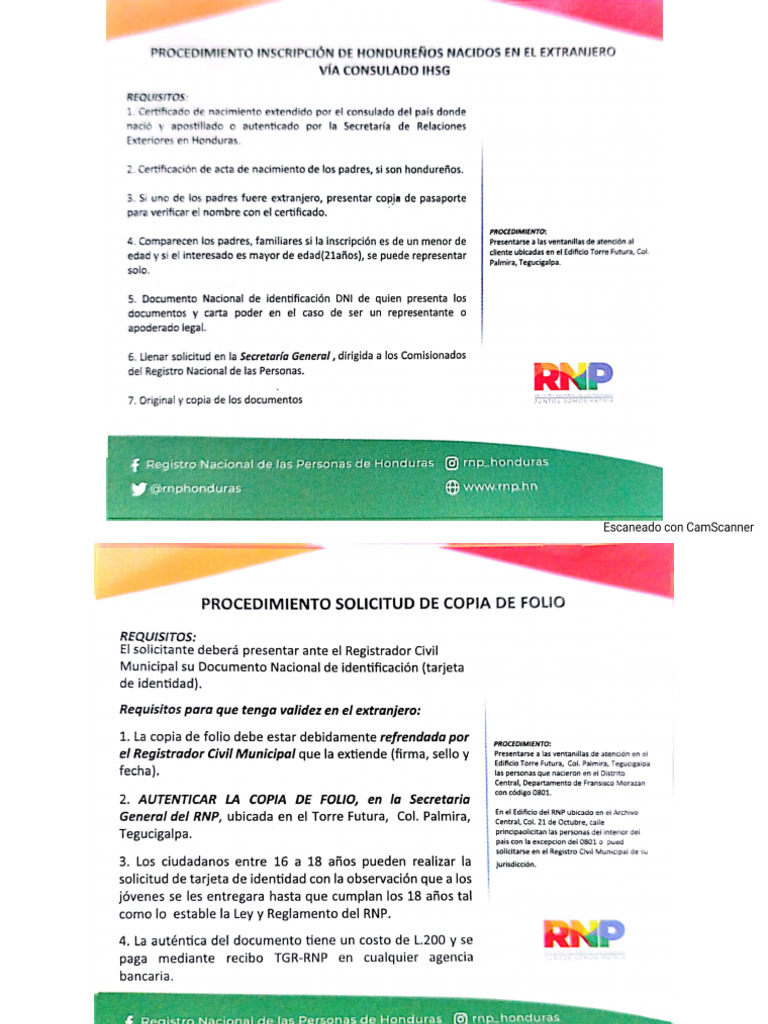 Proc. Varios RNP | PDF