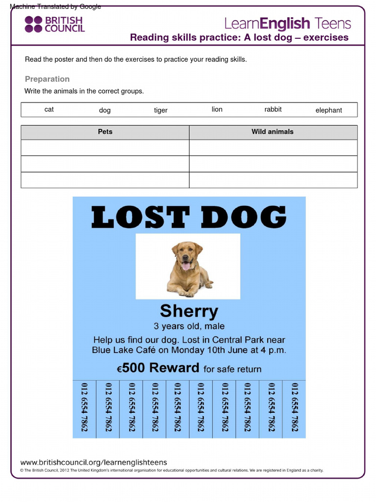 Lost Dog Reading Comprehension Exercise | PDF