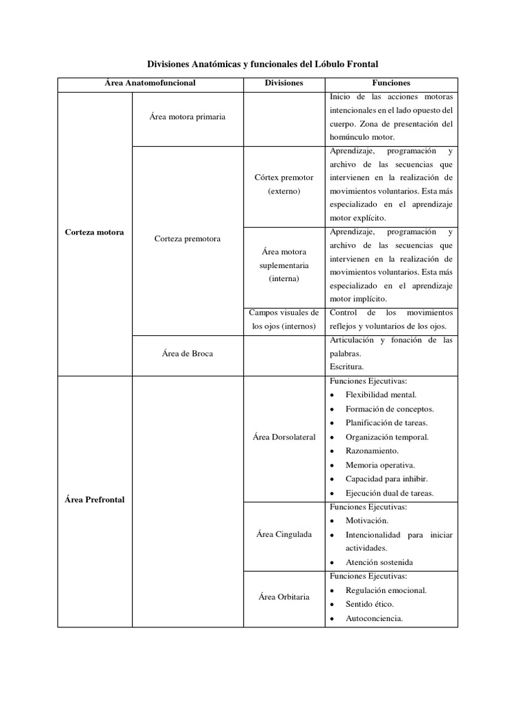 Modelo Jerárquico de Stuss y Benson Funciones Ejecutivas | PDF ...