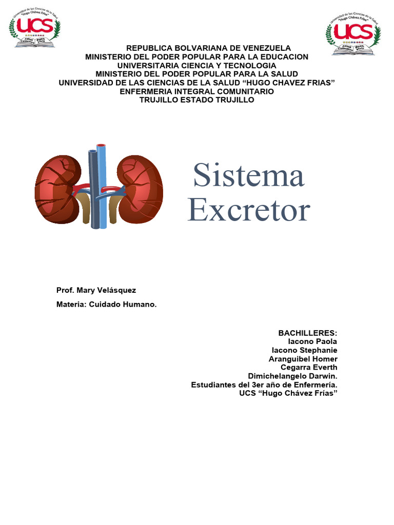 Sistema Urinario Cuidado Humano | Descargar gratis PDF | Sistema urinario | Orina