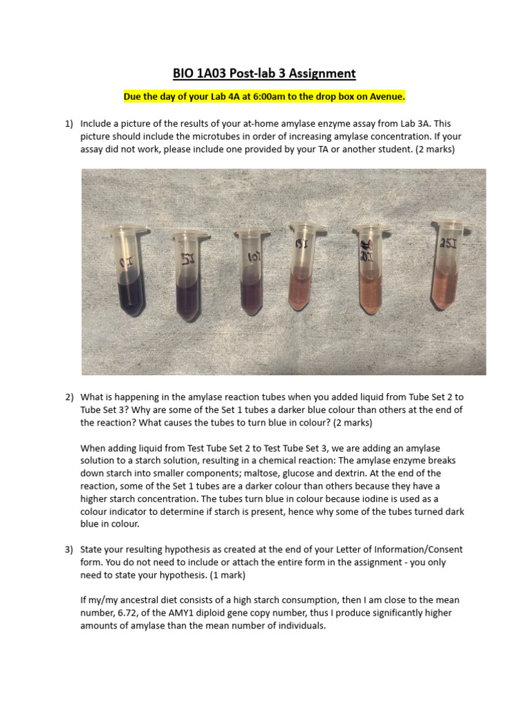 BIO 1A03 Post-lab 3 Assignment Guide | PDF | Standard Error | Starch