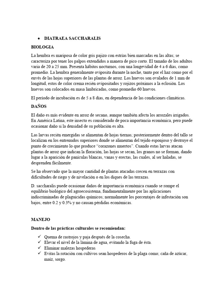 Ento Julia | PDF | Araña | Arroz