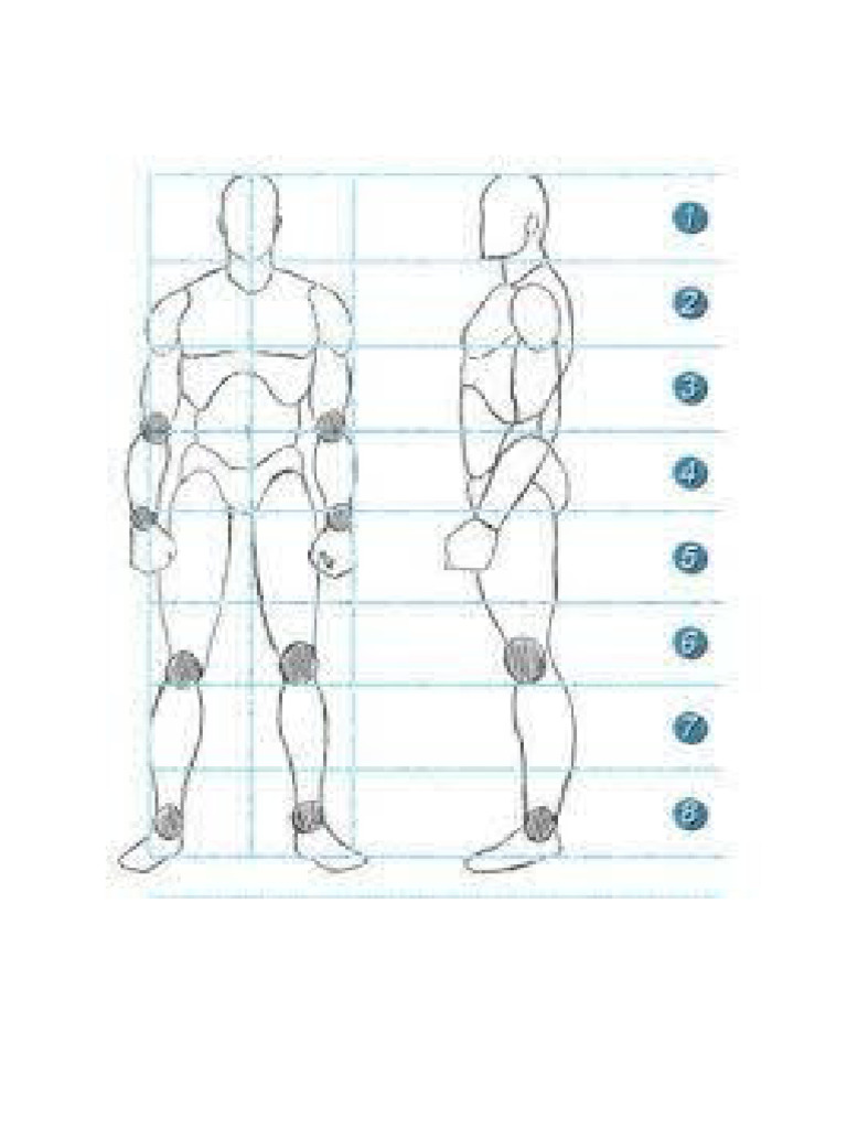 Dibujo Del Cuerpo Humano | PDF