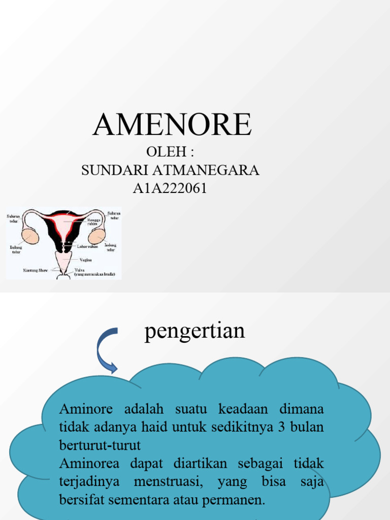 Panduan Amenore dan Penanganannya | PDF