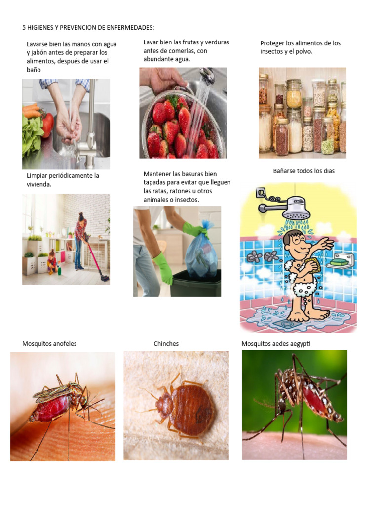 5 Higienes y Prevencion de Enfermedades | PDF