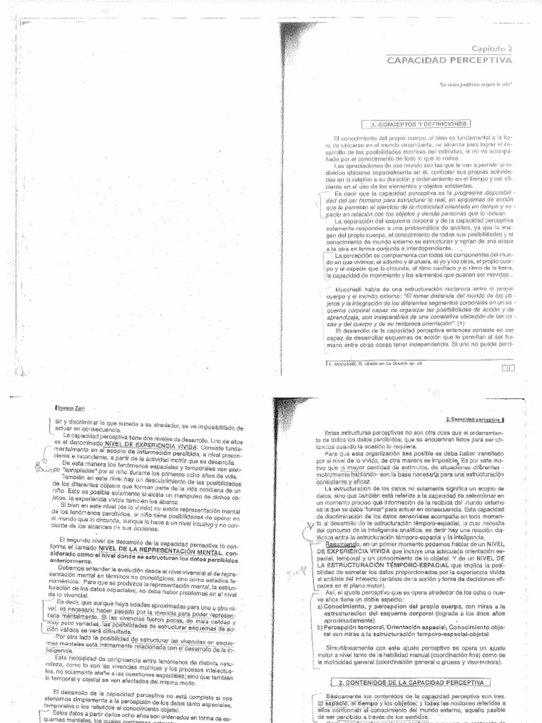 Zevi Cap 2 Pdf