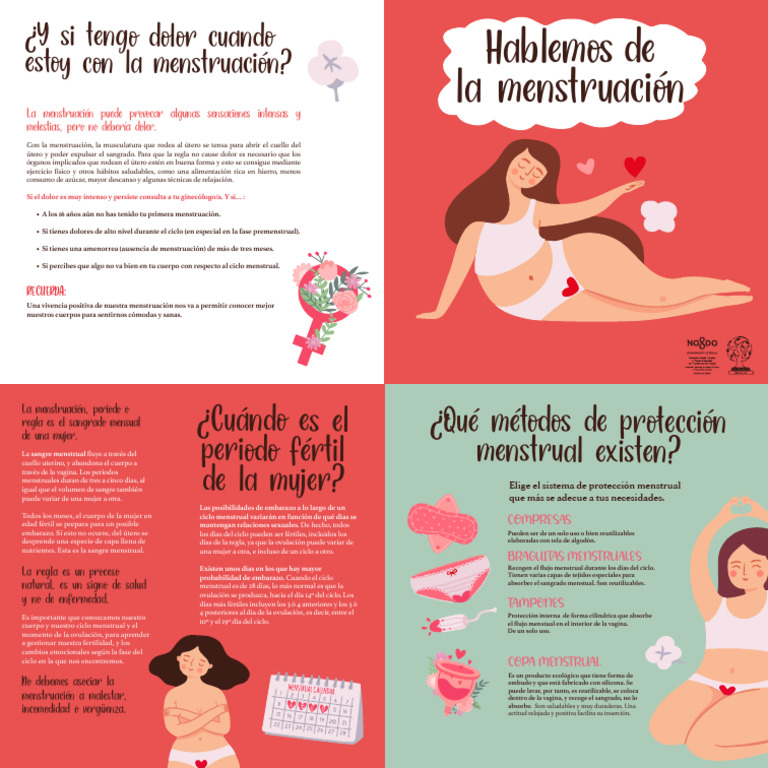 Folleto Menstruacion | PDF | Menstruación | Ciclo menstrual