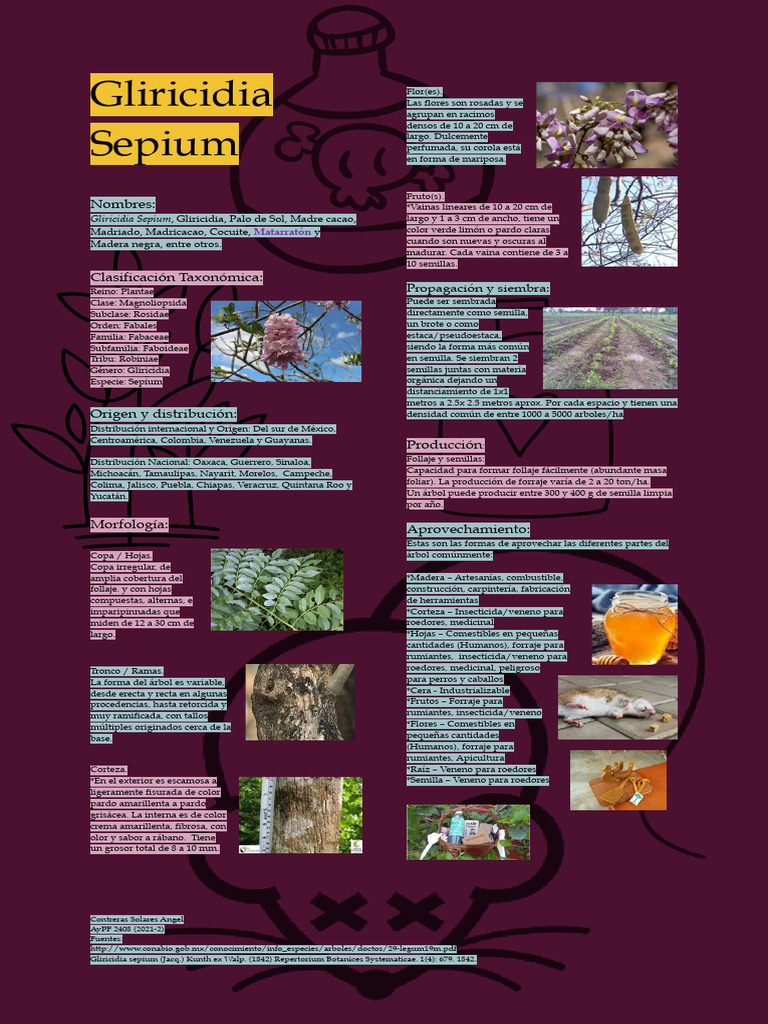 Gliricidia Sepium | PDF | Organismos | Plantas