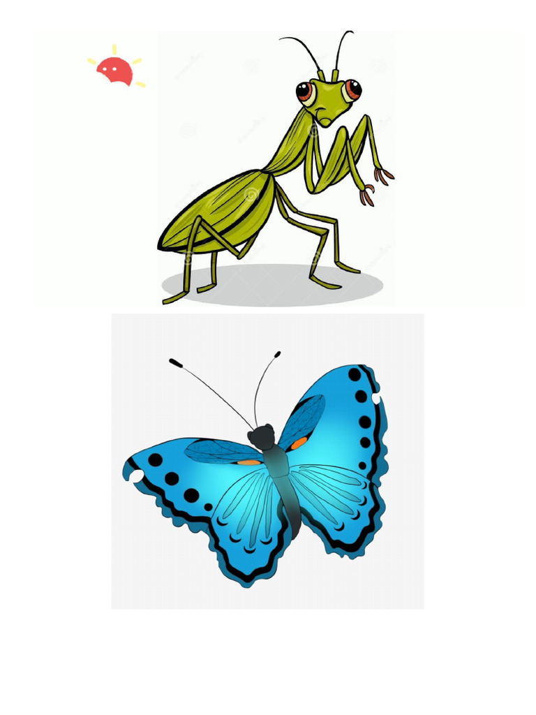 Imagenes El Mamboreta | PDF