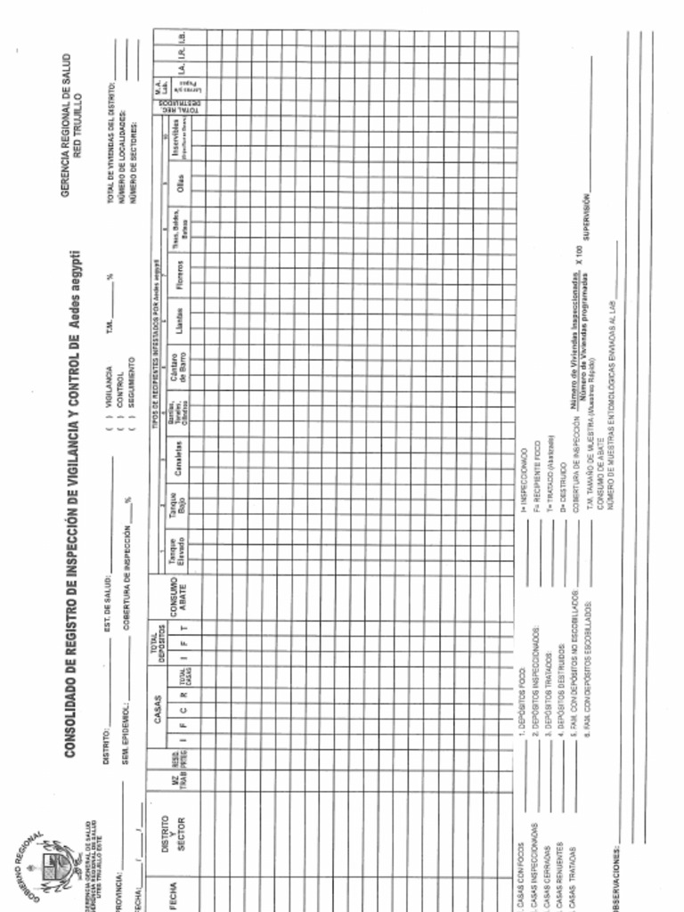Formato de Consolidado | PDF