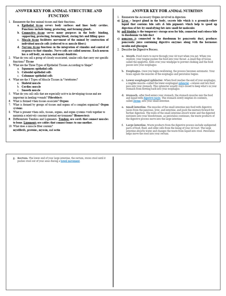 Animal Structure and Nutrition Answer Key | PDF | Esophagus | Digestion