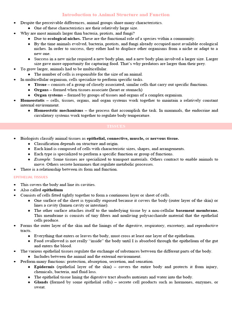 Animal Structure and Function | PDF | Epithelium | Connective Tissue