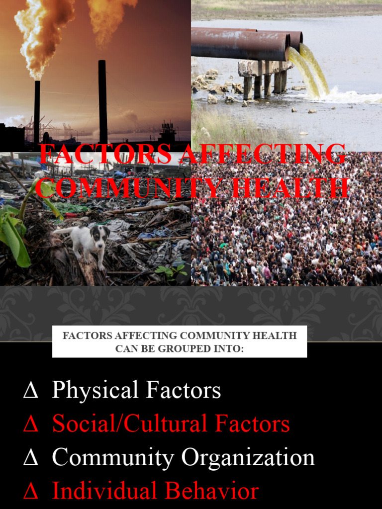 Factors Influencing Community Health | PDF | Medical Specialties ...