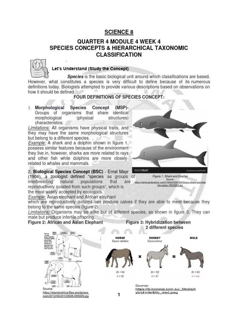 Science 8 Quarter 4 Module 4 Week 4 Species Concepts & Hierarchical Taxonomic Classification ...