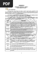 Complete vs. Incomplete Digestive Systems | PDF | Digestion ...