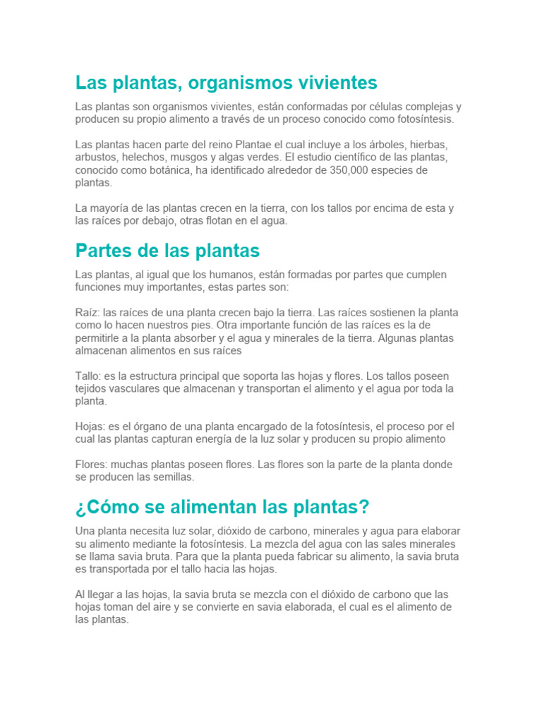 Las Plantas | PDF | Plantas | Raíz