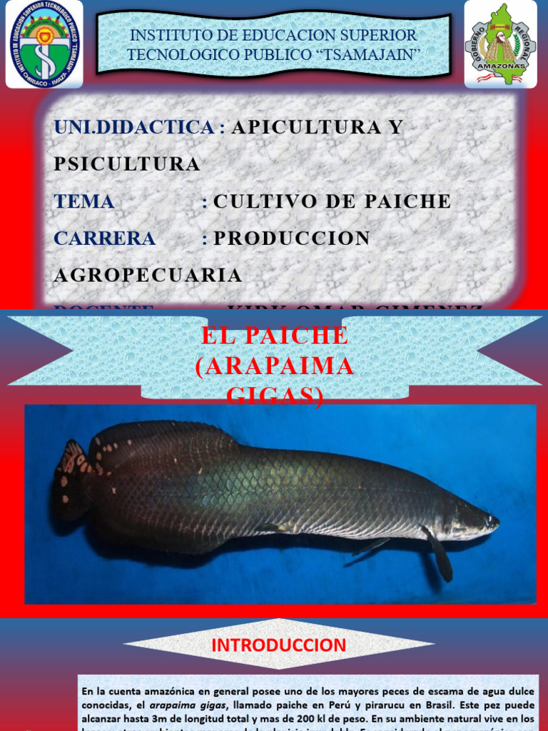 Cultivo de Paiche | PDF