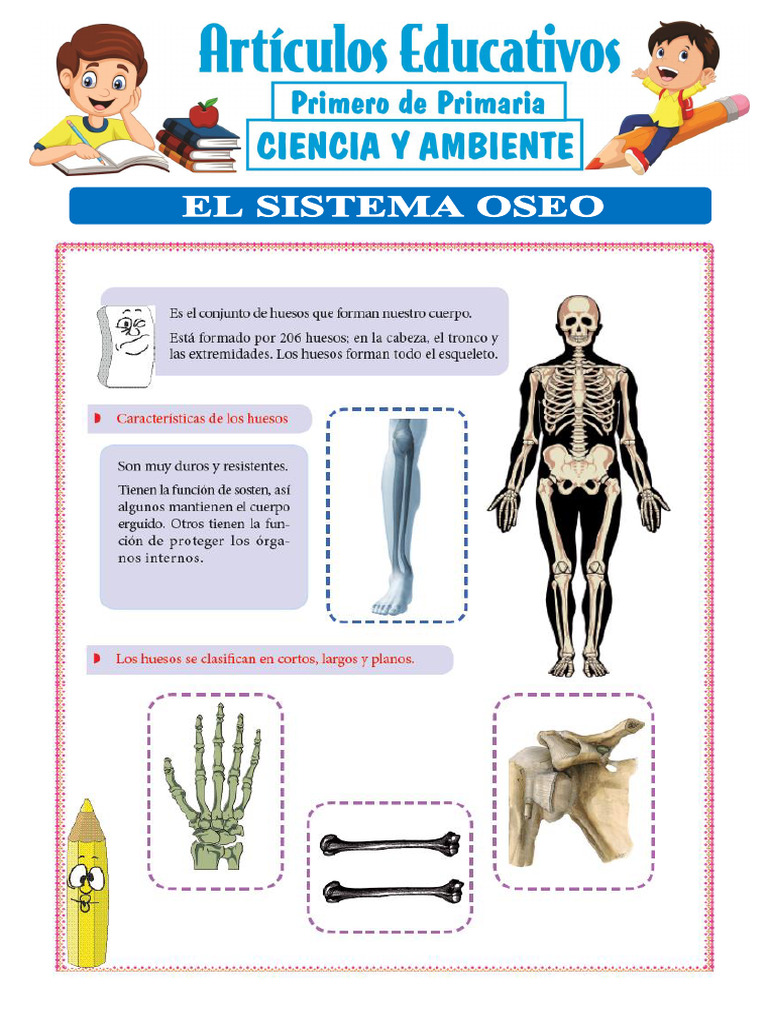 El Sistema Oseo para Primero de Primaria | PDF