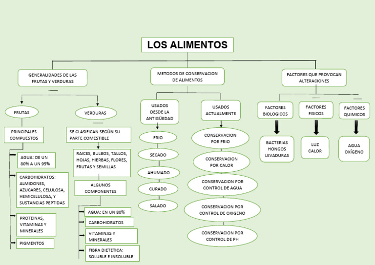 Mapa Conceptual de Los Alimentos | PDF | Alimentos | Carbohidratos