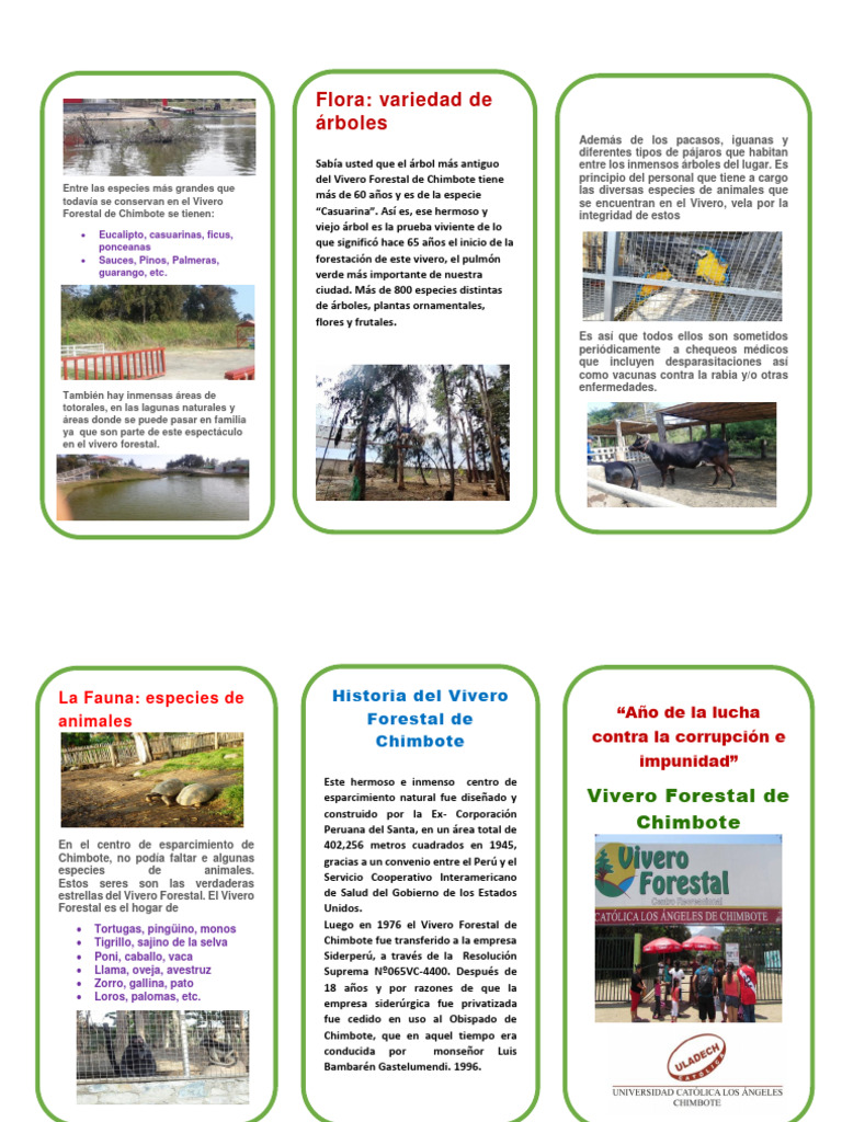 Vivero Triptico | PDF | Los bosques | Organismos