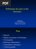 Syndrome cave supérieur : symptômes et causes | PDF