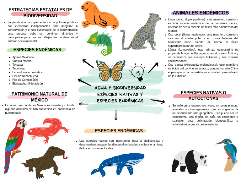 Especies nativas y Especies endémicas (3) | PDF | Mamíferos | Biodiversidad