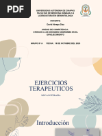 Ejercicios de Buerguer Allen para Circulación | PDF