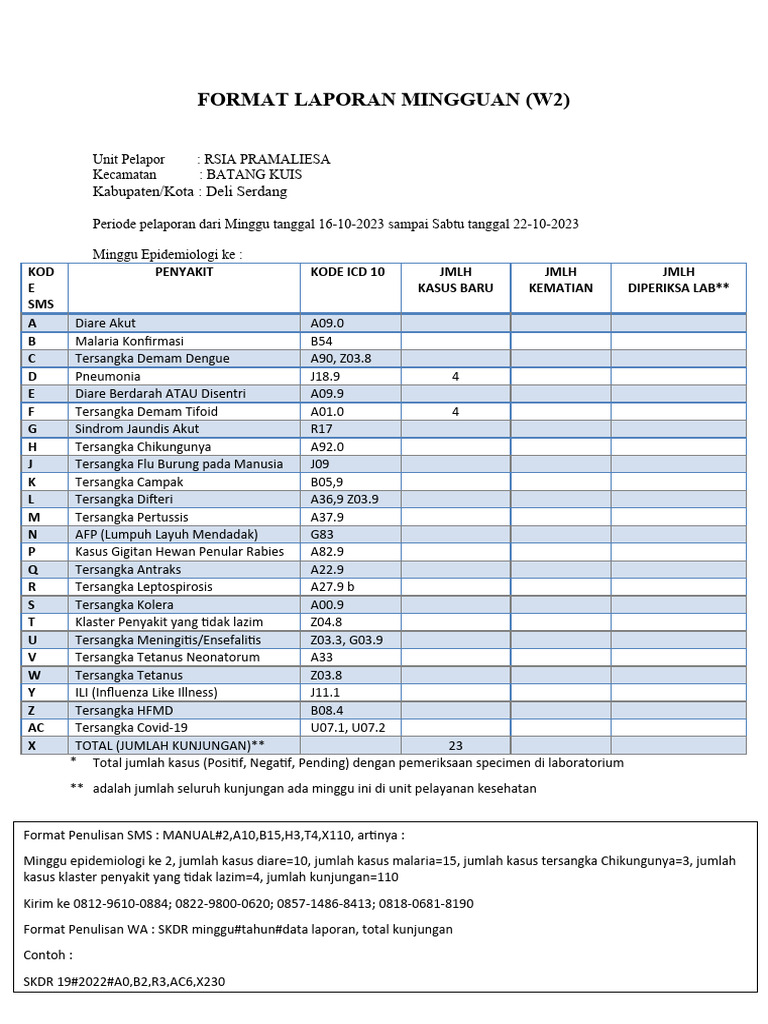 FORMAT LAPORAN SKDR 16- 22 Oktober 2023 | PDF