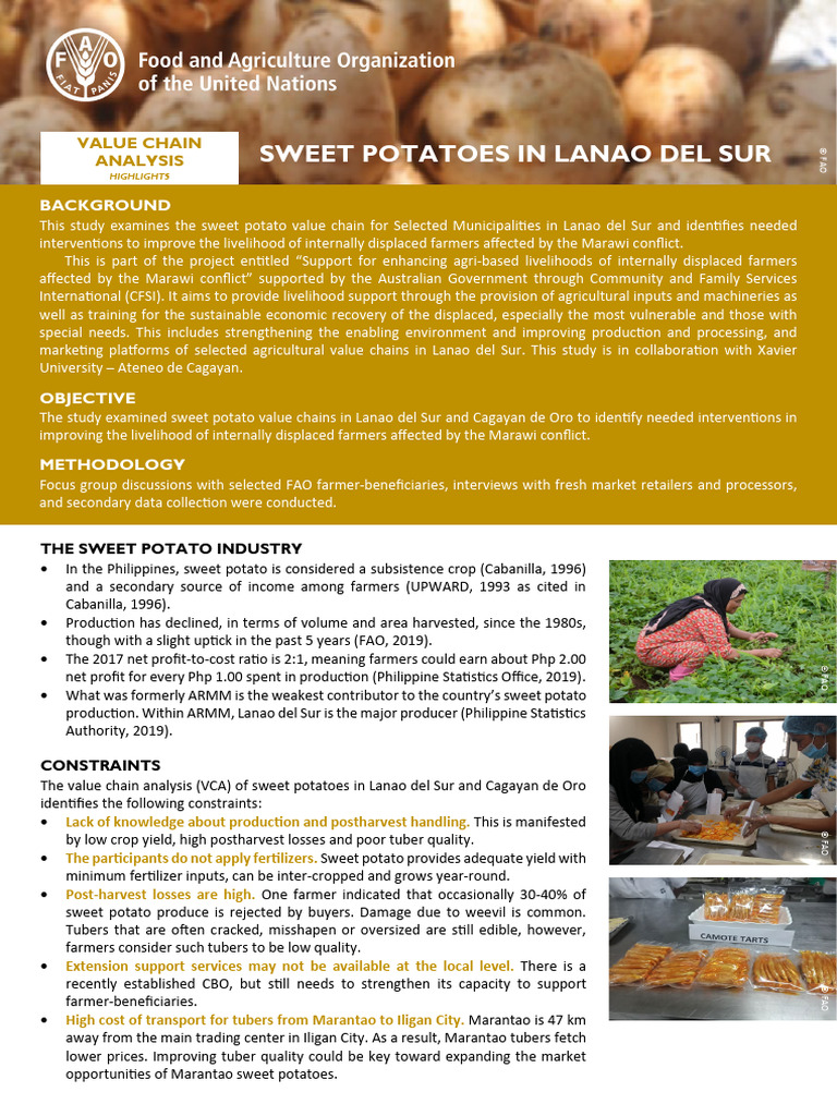 Fao Sweet Potato Vca | PDF | Agriculture | Potato