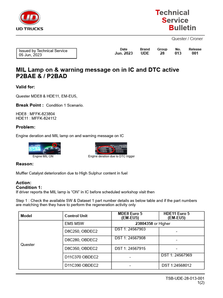 UDE 28-013-001 MIL Lamp On & Warning Message On IC and DTC Active P2BAE ...