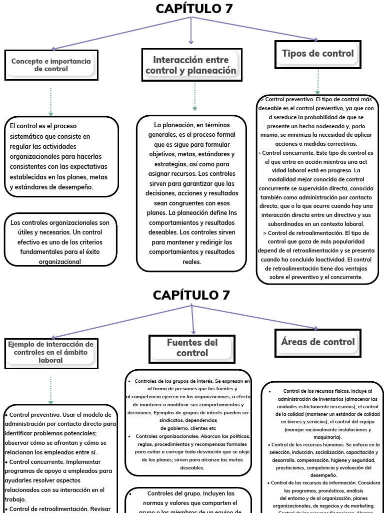 Cap 7 | PDF | Presupuesto | Planificación