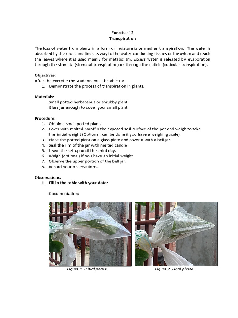 ALEA - Exercise 12 Transpiration | PDF | Water | Evaporation