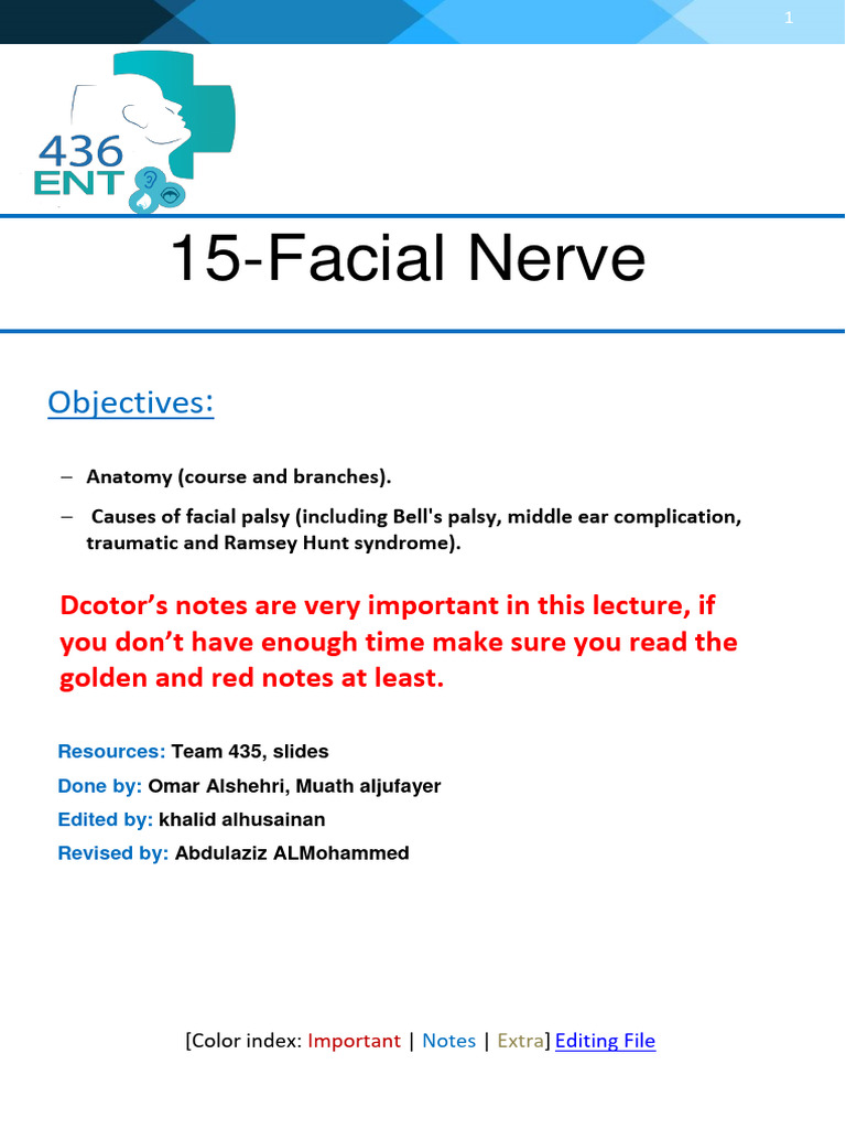 15-Facial Nerve | PDF | Neuroanatomy | Anatomy