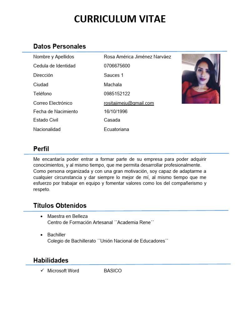 Curriculum Vitae en Blanco PDF | PDF