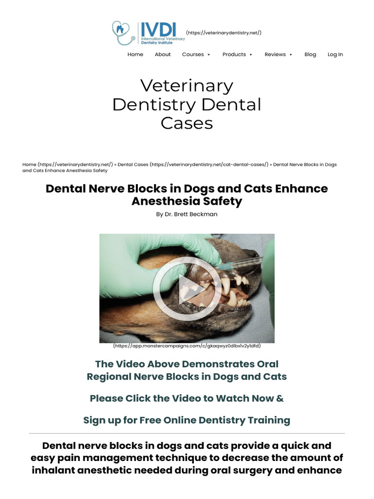 Dental Nerve Blocks in Dogs and Cats Enhance Anesthesia Safety | PDF ...