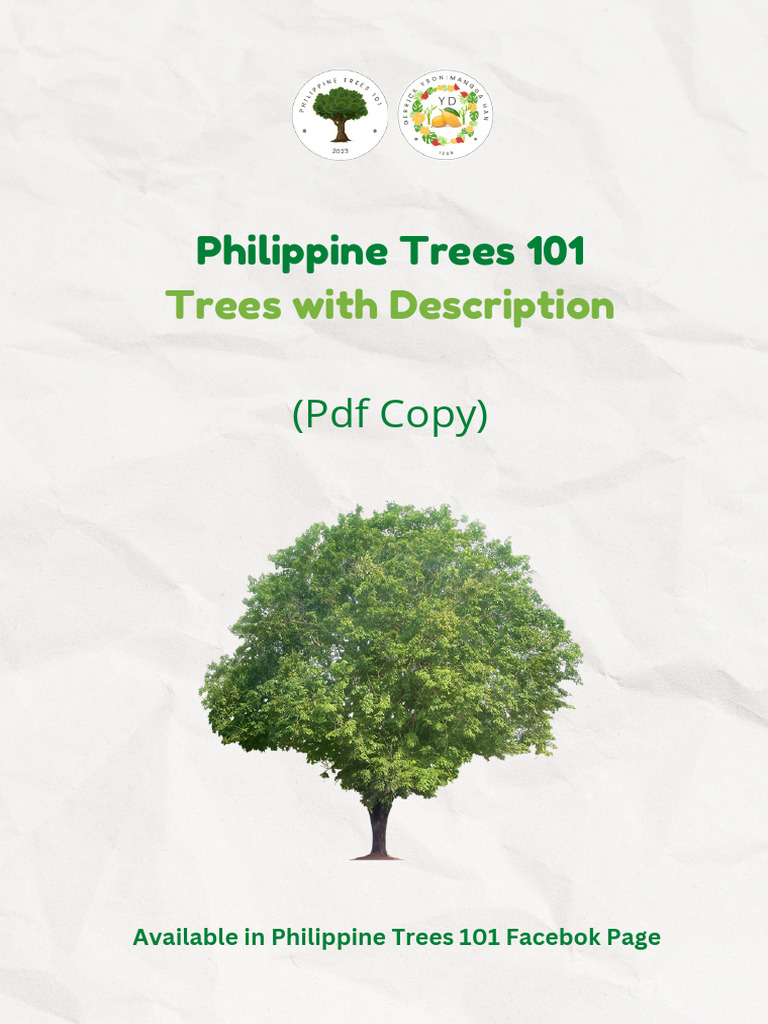 Philippine Trees 101: Trees With Description PDF | PDF | Plants | Trees