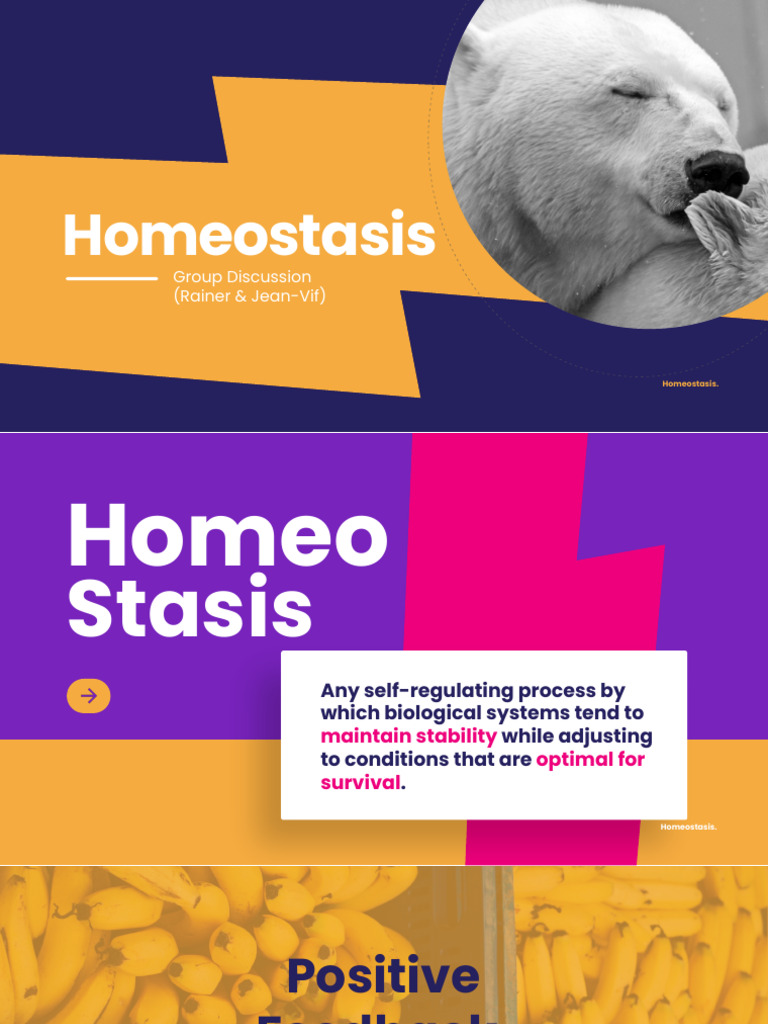Bio Homeostasis | PDF | Homeostasis | Water