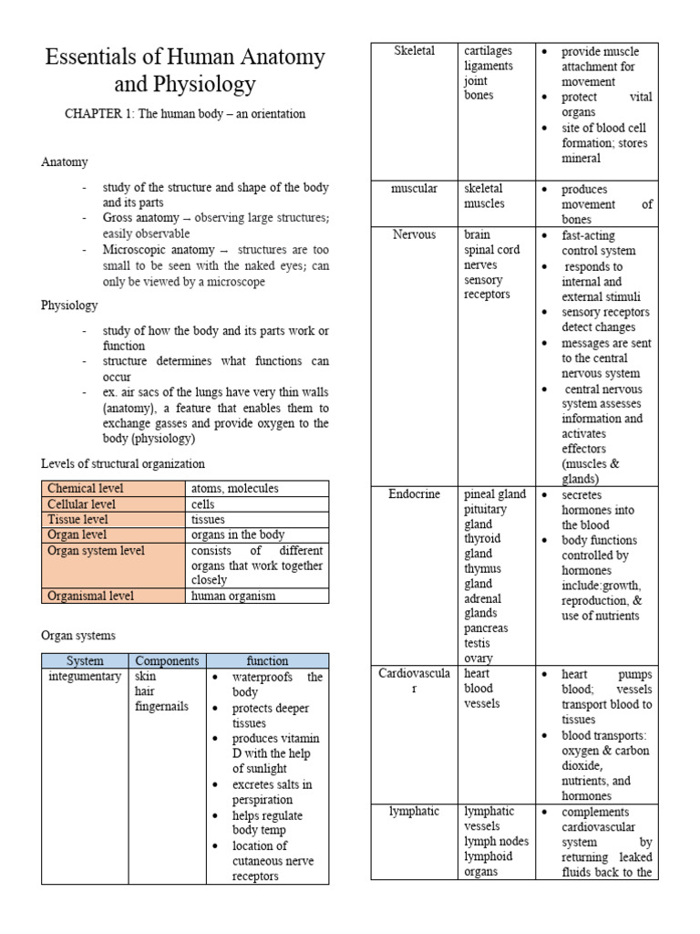 Anaphy Prelims | PDF | Anatomical Terms Of Location | Human Body