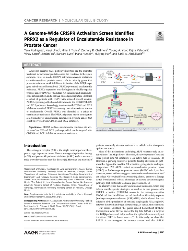 A Genome-Wide CRISPR Activation Screen Identifies PRRX2 as a Regulator ...