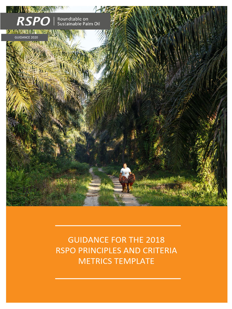RSPO PC Metrics Template Guidance V2 ENG1 Opt | PDF | Performance ...
