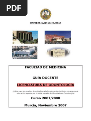 Fabio Salerno Telecomunicaciones Egipto