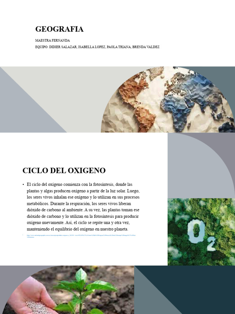 Ciclos Biogeoquímicos en la Tierra | PDF | Agua | Ciencias de la Tierra