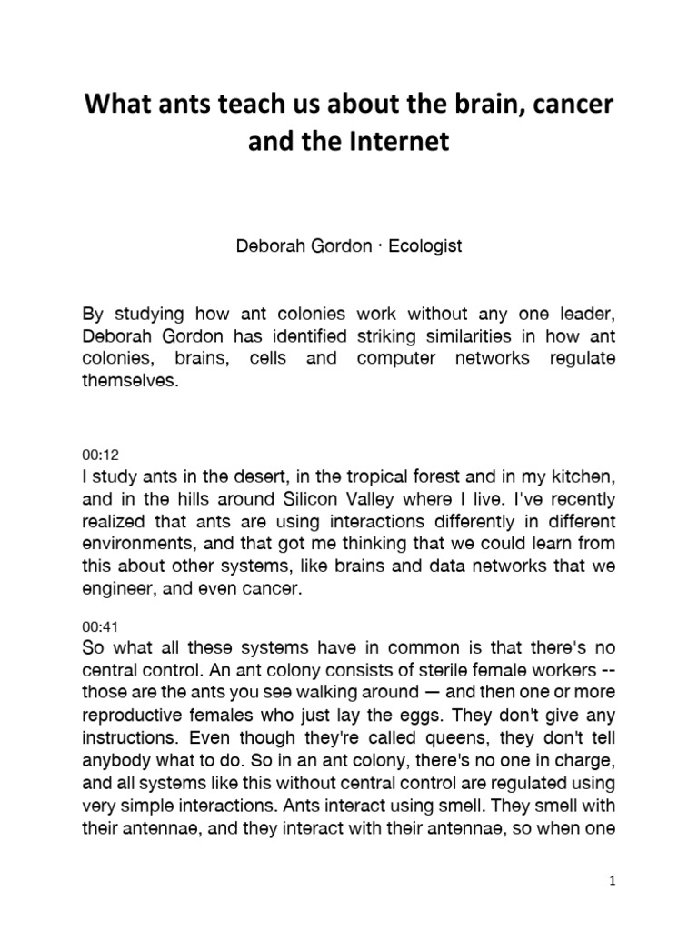 What Ants Teach Us About The Brain | PDF | Foraging | Ant