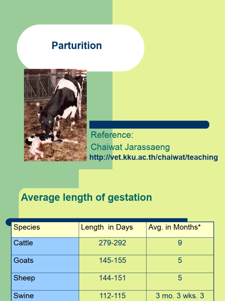 Parturition Ppt2 Final | PDF | Cortisol | Adrenocorticotropic Hormone