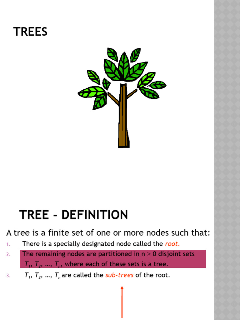 Trees 1 Pdf Algorithms And Data Structures Theoretical Computer Science
